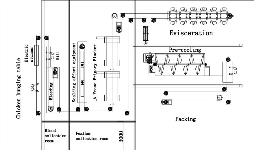 1000 bph chicken slaughtering production line / chicken slaughterhouse ...