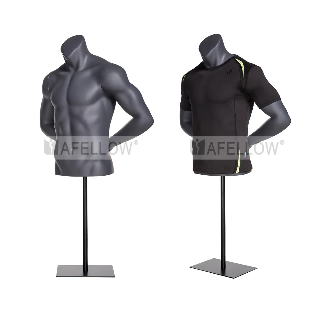 Male Torso Mannequin - Perfect for European Sports Gear