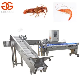 Industrial Crawfish Crayfish Sorting Shrimp Grader Fish Grading ...