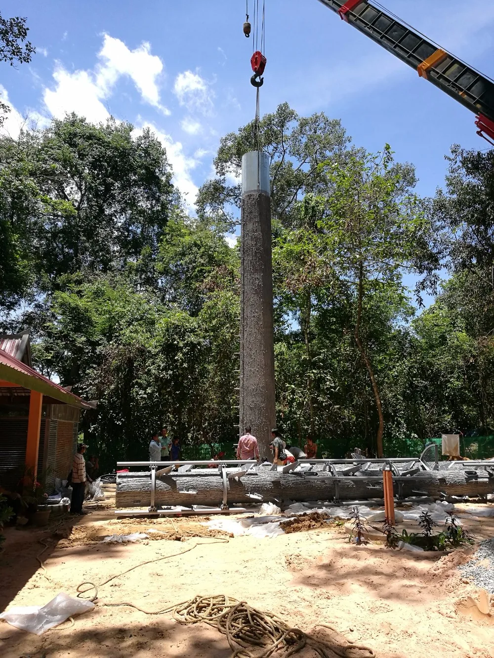 Disguised Palm Tree Monopole Tower - Durable & Camouflaged