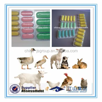 Medication Tablets Cow Medicine Veterinary Pharmaceutical Company ...