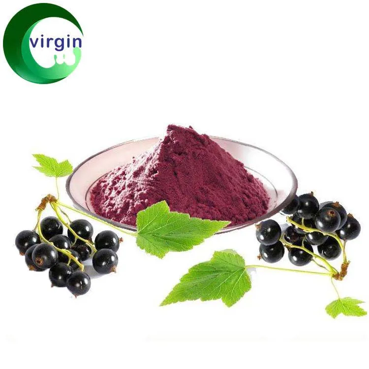 Supply High Quality Organic Black Currant Fruit Powder / Black Currant ...