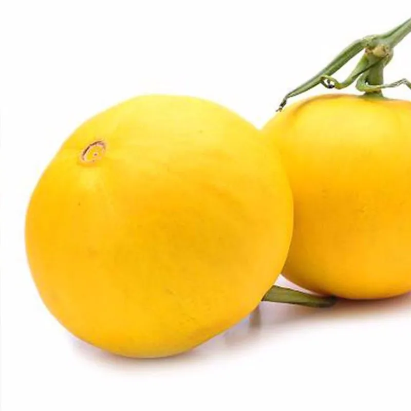 Hybrid F1 Yellow Skin Red Melon Seeds - Buy Musk Melon Seeds Price ...