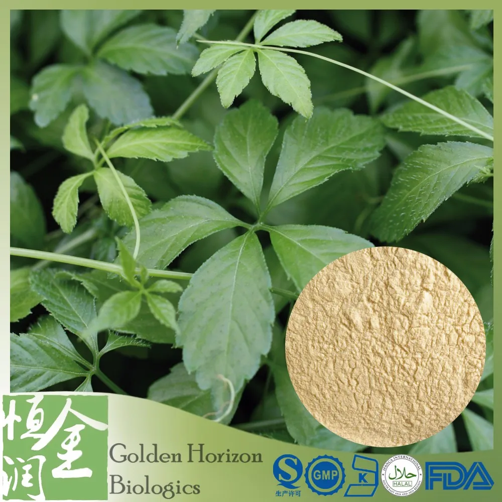 Supply Gynostemma Extract Powder 10:1 / Gynostemma Pentaphyllum Extract With Gypenoside 80% 98% ...