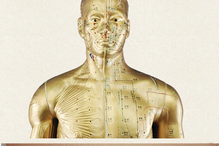 85cm humano corpo inteiro masculino acupuntura Bronze Model| Alibaba.com