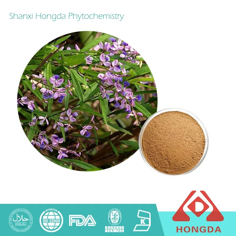 Factory Supply Organic Radix Polygalae Tenuifolia Polygala Tenuifolia ...