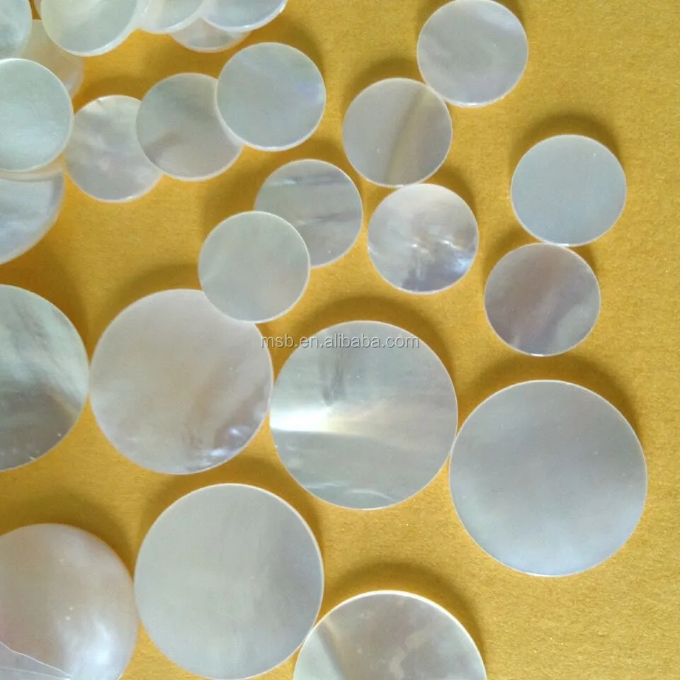 Shop High-Quality White Mop Shell Raw Sea Shells from China