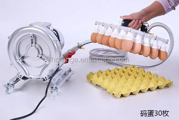 Vacuum Pump Lifter - Efficient Egg Transfer Solutions