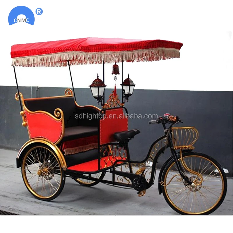 Hot Sale Sightseeing Electric Passenger Rickshaw/electric Tricycle ...