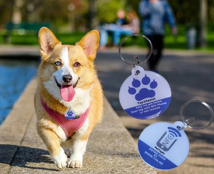 Silicone Custom Qr Code Nfc Pet Id Collar Tag Url Programmable Nfc Dog ... Silicone Custom Qr Code Nfc Pet Id Collar Tag Url Programmable Nfc Dog ...