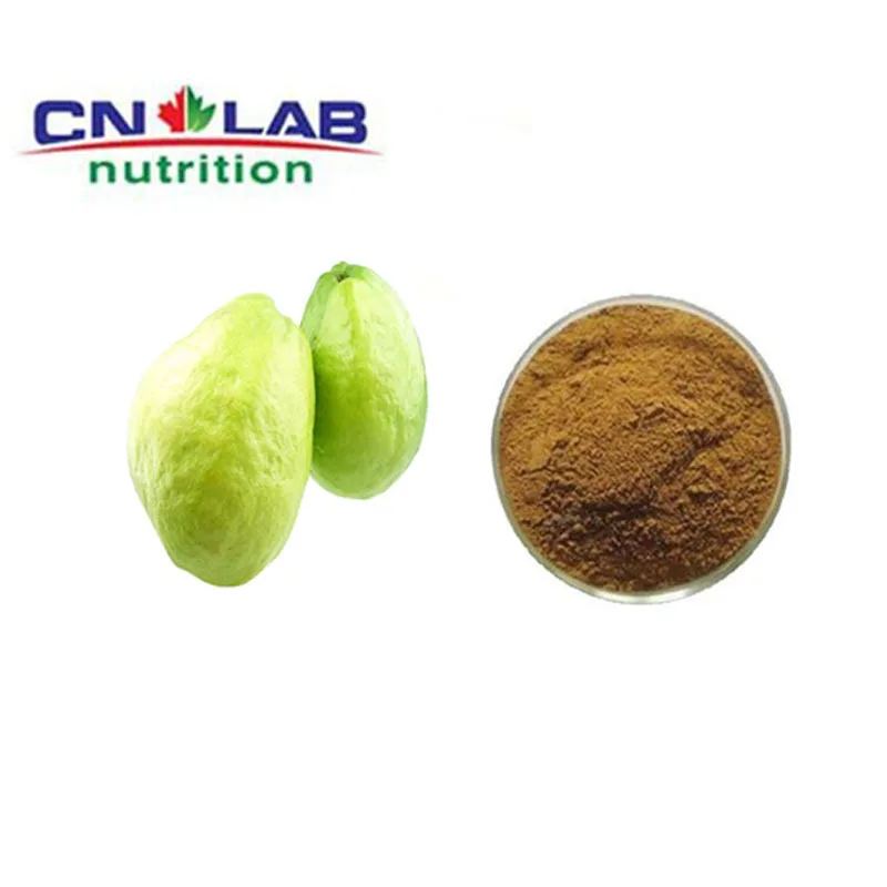 High Quality Guava Leaf Extract Powder 40% Ellagic Acid - Buy Guava ...