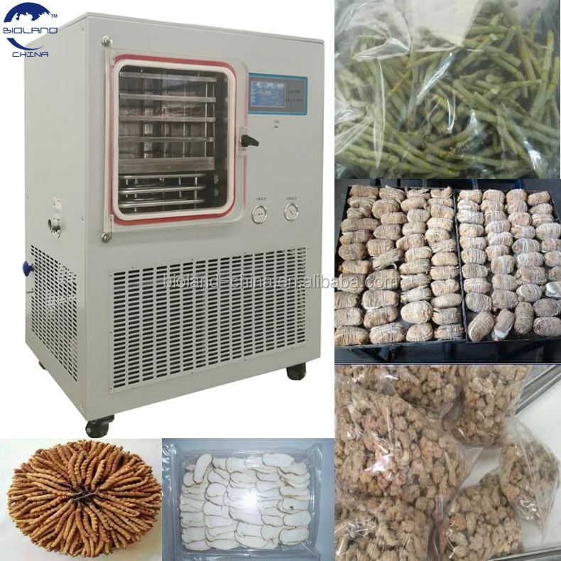 Fruit Processing Freeze Dried Fruit Vegetable Apple Banana ...