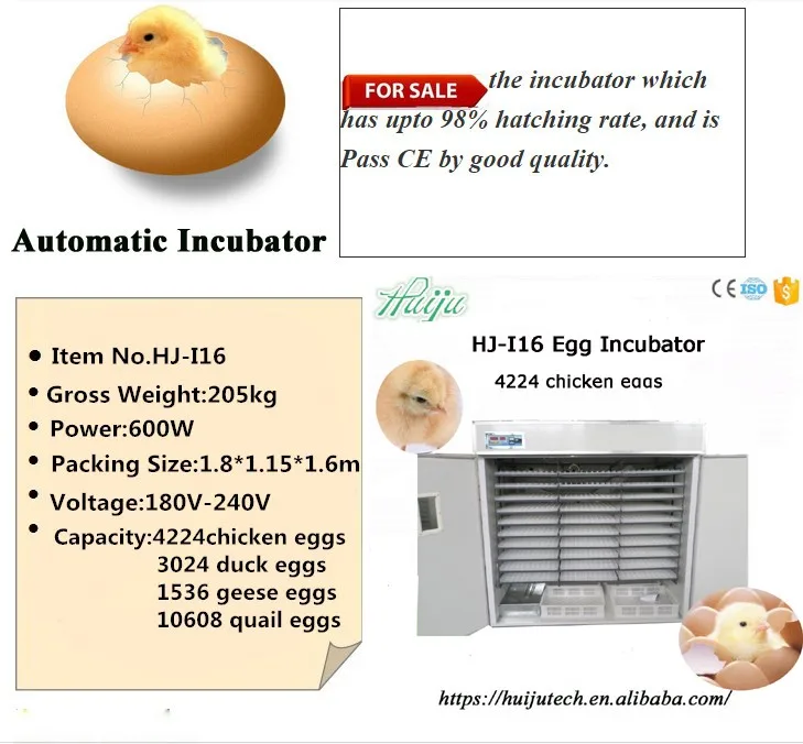 Fertilized Chicken Egg Incubator For Hatching 4000 Chicken Eggs Hj-i16 ...