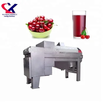 Large Capacity Advanced Automatic Cherry Pitting Machine,Industrial ...