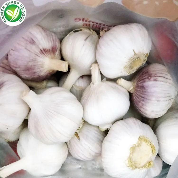 Supplier Wholesale New Crop Fresh Chinese 3p Pure White Garlic With ...