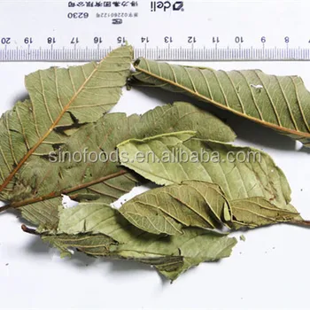 Dried Leaves Fan Shi Liu Ye Dried Guava Leaves - Buy Dried Guava Leaves ...