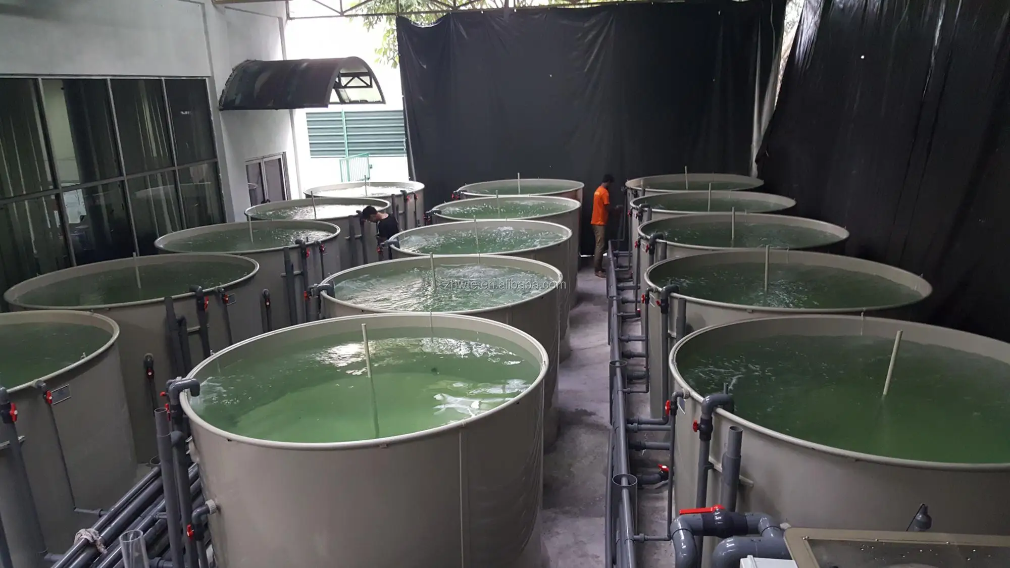 Circular Fish Farming Tank For Commercial Fish Farm,Pp Fish Tank For ...