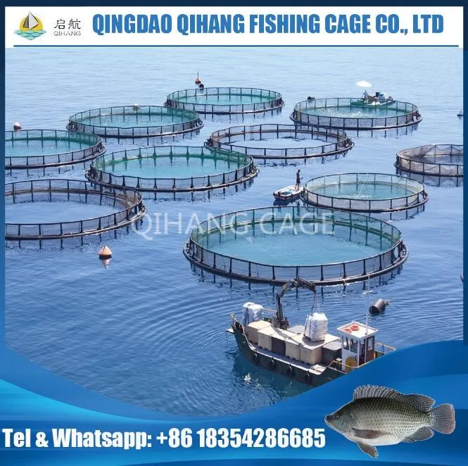 Aquaculture Cage Nets for Sea Fish Farming - Durable & Efficient