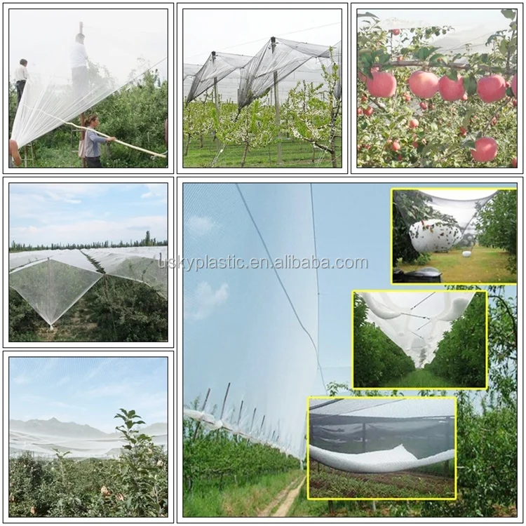 Factory Produce Car Hail Protection Anti-hail Net Covers / Agricultural ...