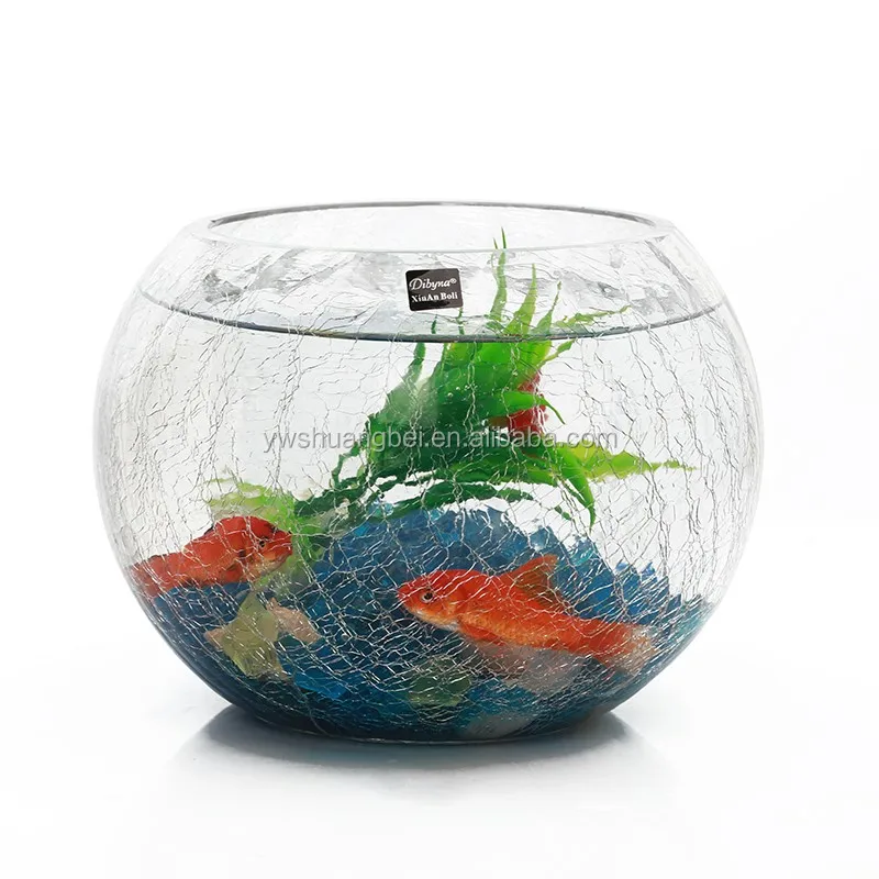 Five Type Circular Aquariums Glass Fish Bowl Round Tank Multifunctional ...