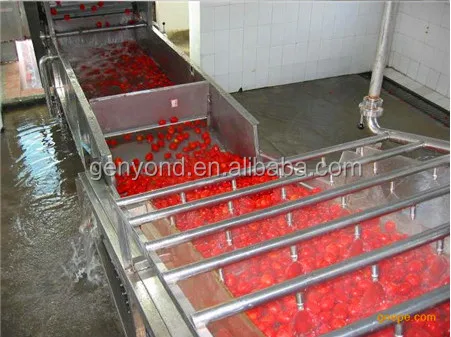 Automatic Tomato Paste Processing Plant / Tomato Paste Production Line ...