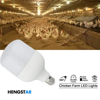 Dimmable Led Poultry Farming Bulb 15w Broiler Farm Lights - Buy ...