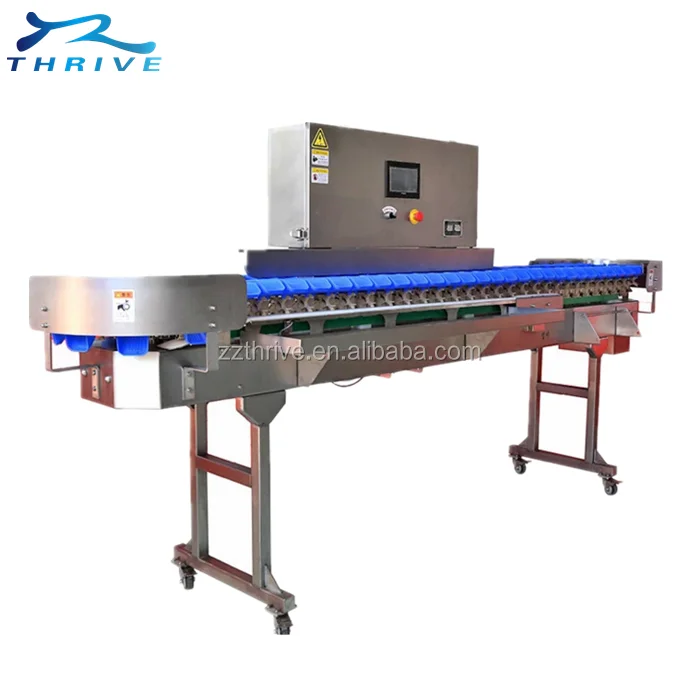 Industrial Crawfish Lobster Sorting Machine/meat Strip Snack Grading ...