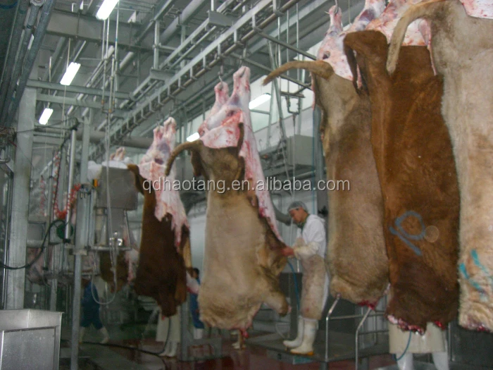 Cattle Stunning Box Constructed In Stainless Steel - Buy Cattle ...