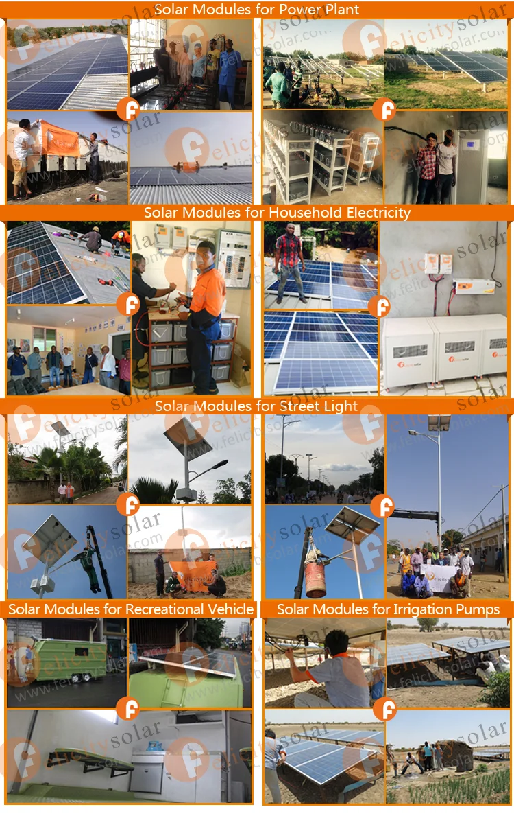 Felicity Solar Cells Panel 36v 250w 265w 300w 320w Mono Solar Panel ...