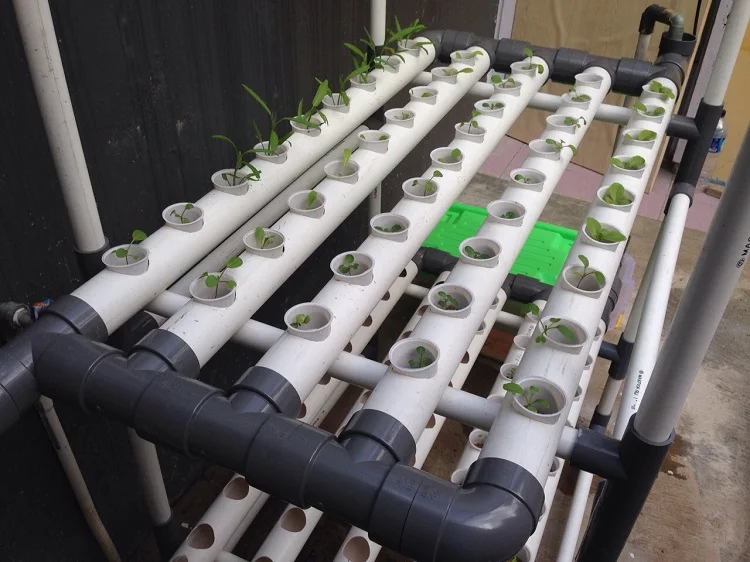 Small Nft Garden Hydroponic System With 36/72/108pcs Of Net Pot Diy ...
