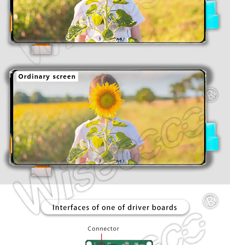 6 Inch Flexible OLED Display - 2K Resolution by Wisecoco