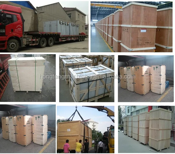 Snail Tail Cutting Processing Machine | Snail Shelling Machine | River ...