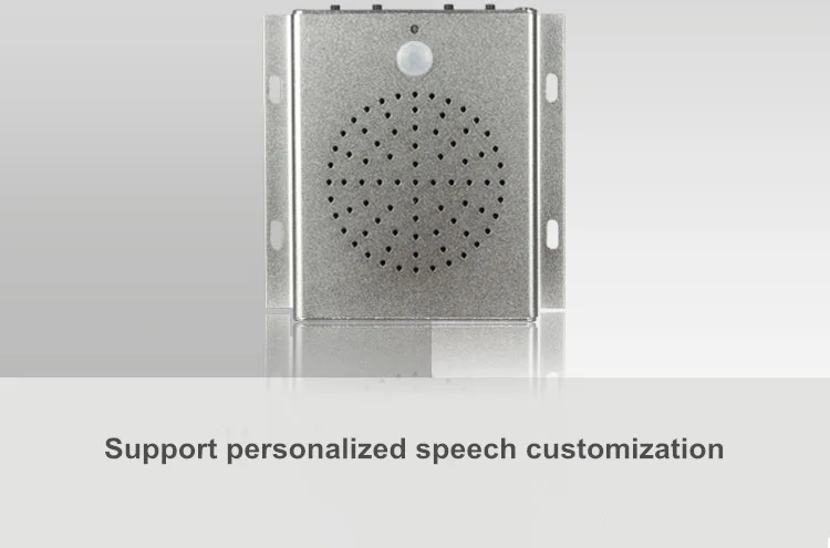 Pir Infrared Human Motion Sensor Detector With Sound Recordable For ...