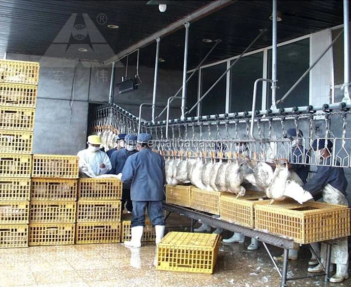 Poultry Slaughter System - Chicken Shackles Hooks