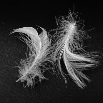 Bulk Goose Down Feathers - Buy Natural Goose Feather,Goose Feathers For ...