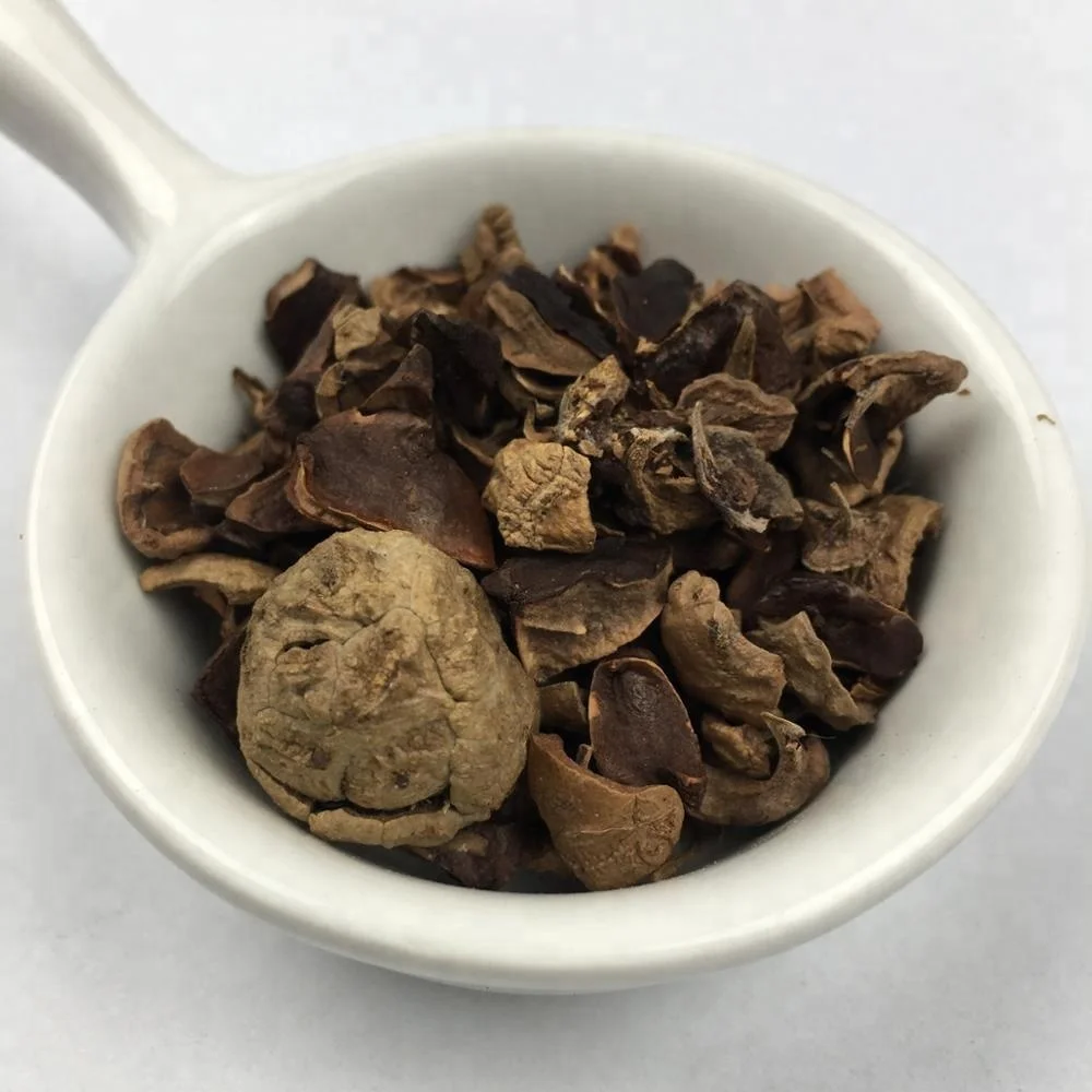 Swampcypress High Quality Deciduous Tree Seeds Natural Taxodium ...