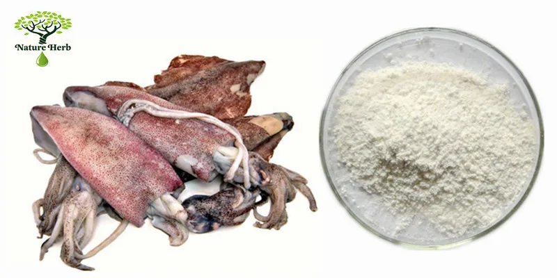 Hot Selling Freeze Dried Squid Powder Price - Buy Freeze Dried Squid ...