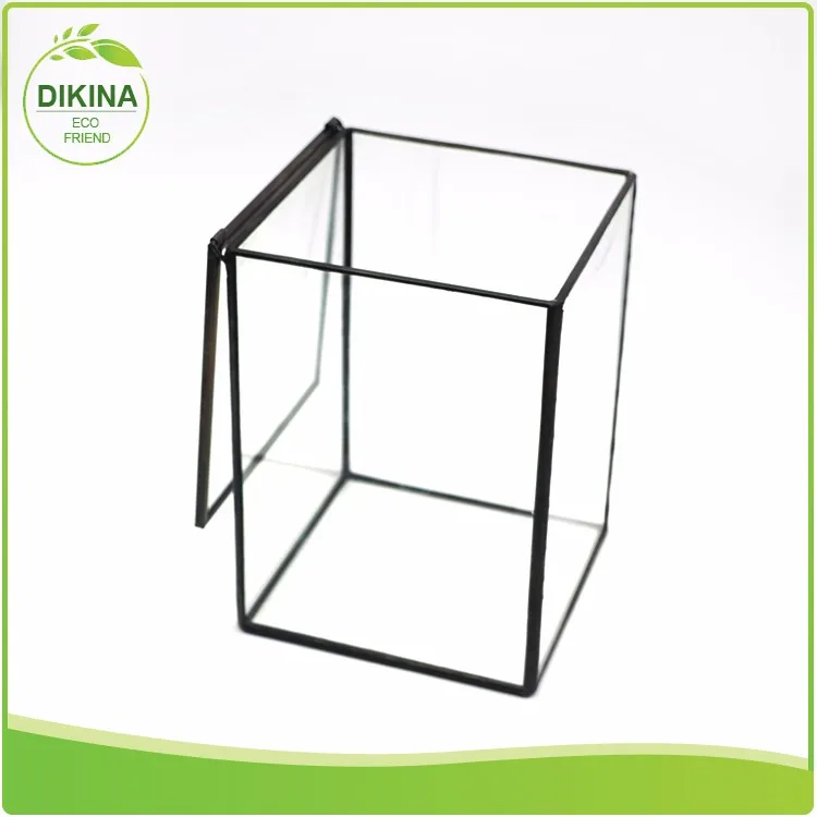 Pet Home Display Case / Geometric Container / With A Door Open Clear ...