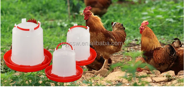 2l,4l,6l,8l,10l Large Plastic Chicken Drinkers - Buy 6l Chicken Drinker ...