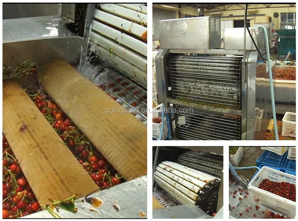 Automatic Cherry Stem Removing Machine Auto Industrial Cherry Stalk ...