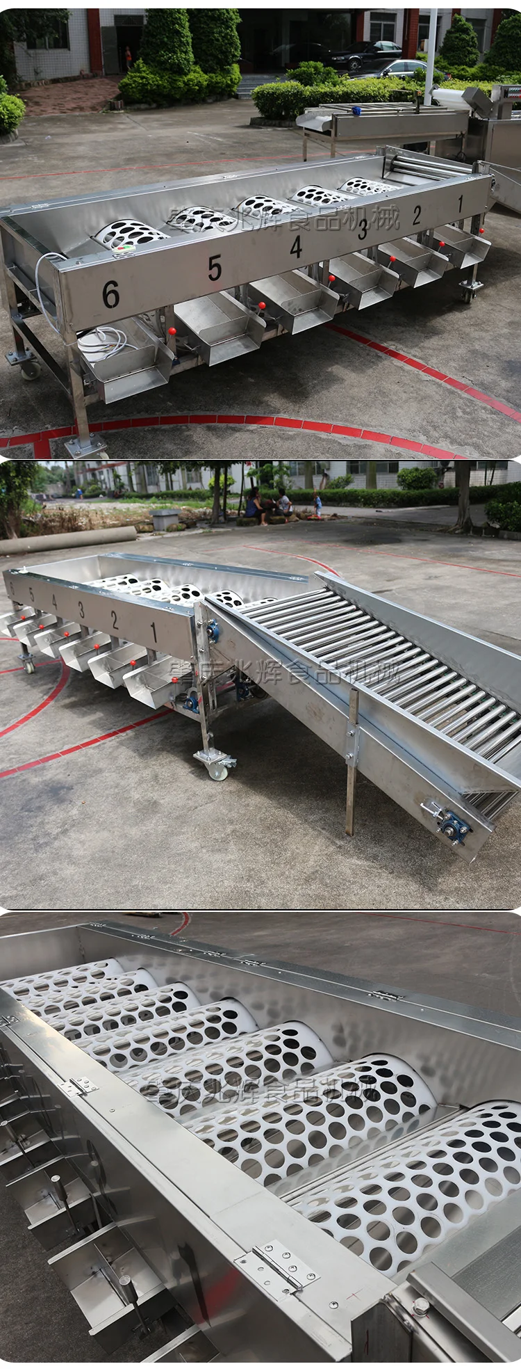 Rolling Fruit And Vegetable Sorting Machine Garlic Onion Sorting ...