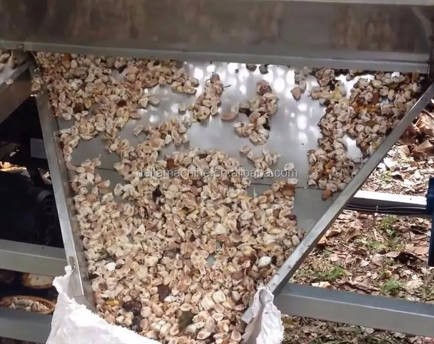 Fresh Cocoa Pod Breaking Machine - 800-1000kg/h Capacity