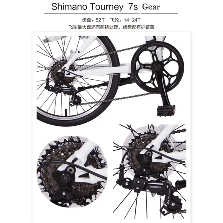 Adventurer Folding Bike - Affordable, Durable & Versatile