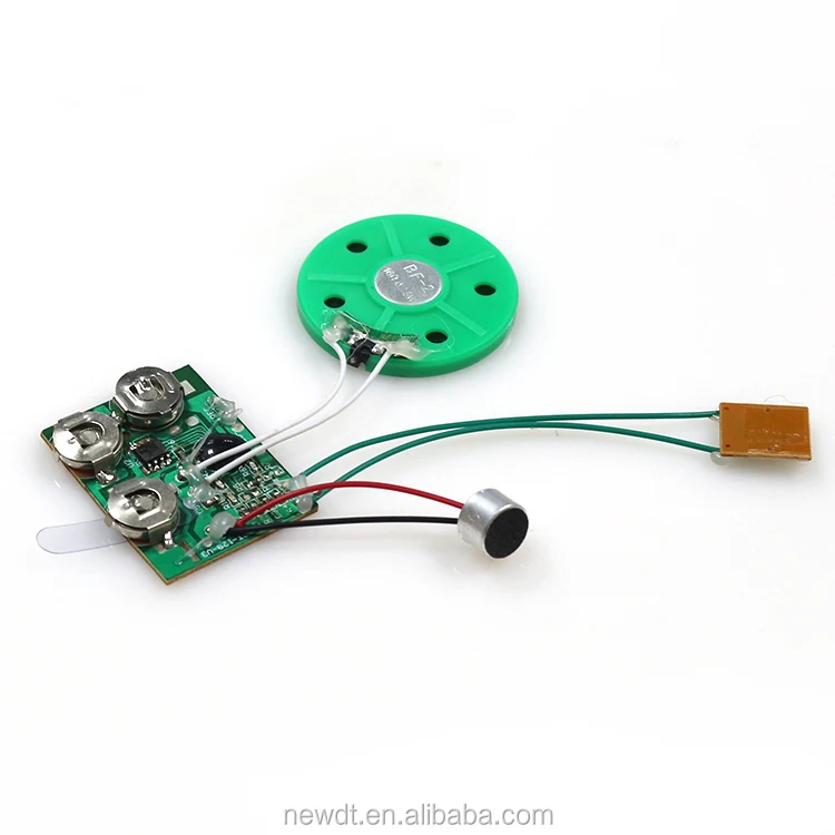 Single Button Voice Record And Playback Sound Ship Customized - Buy ...