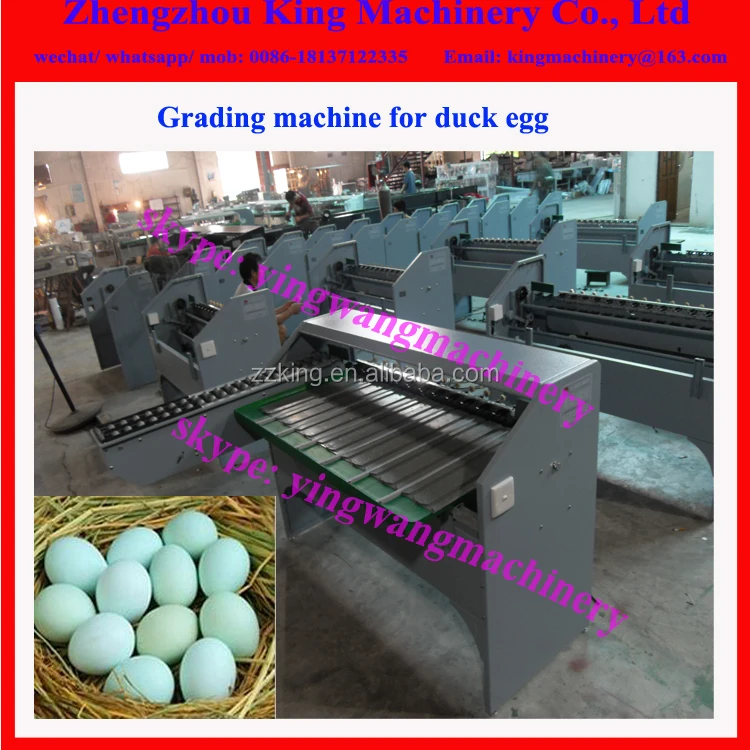 Good Quality Chicken Egg Weight Grading Checking Candling Machine /egg ...
