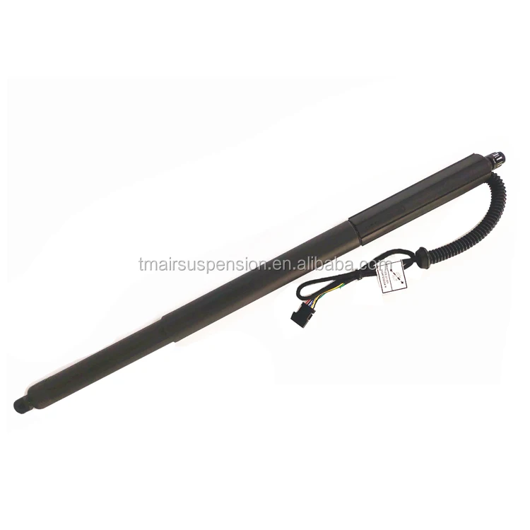 OEM 51247232003 51247232004 for X3 F25 Power Liftgate Kits