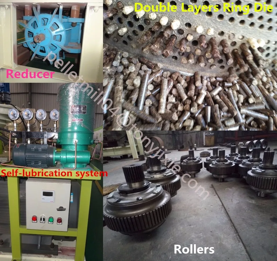 Palm Oil Biomass Waste Empty Fruit Bunch Efb Pellet Making Press ...