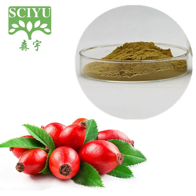 Free Sample Rose Hip Extract Rose Hip Fruit Powder - Buy Rose Hip ...