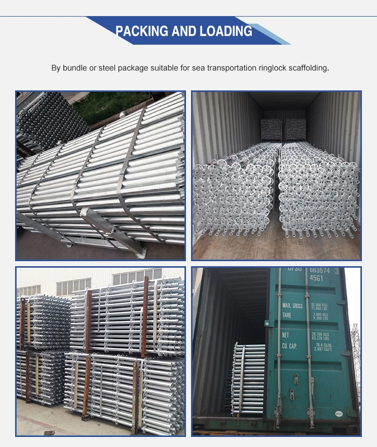 Hot Dip Galvanized Steel Ringlock Scaffolding Ledger Sizes For Building ...
