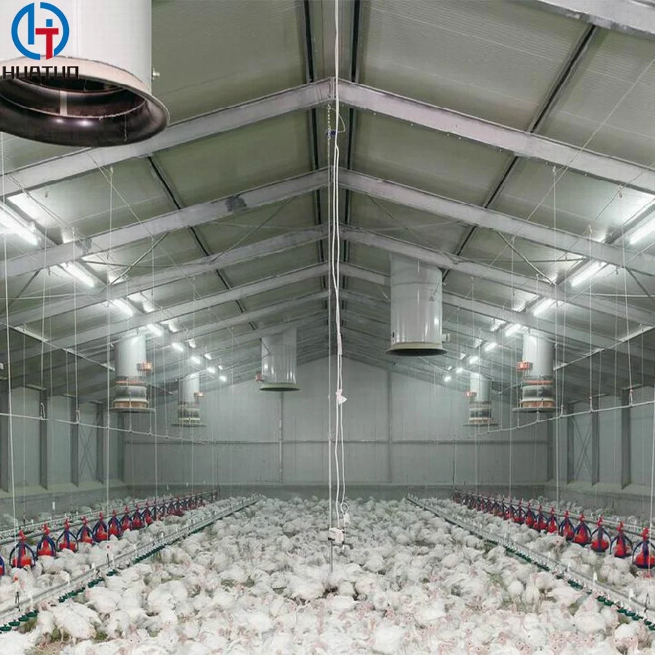 30-45days Broiler Farm Poultry Farming Chicken Barn House Design - Buy ...